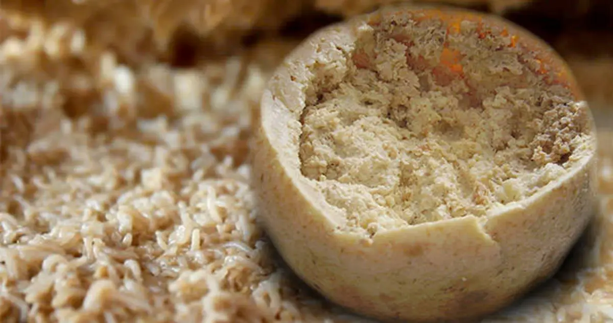 ලෝකෙ තියෙන හොඳම එළුකිරි චීස් (goat cheese) විශේෂය | ElaKiri
