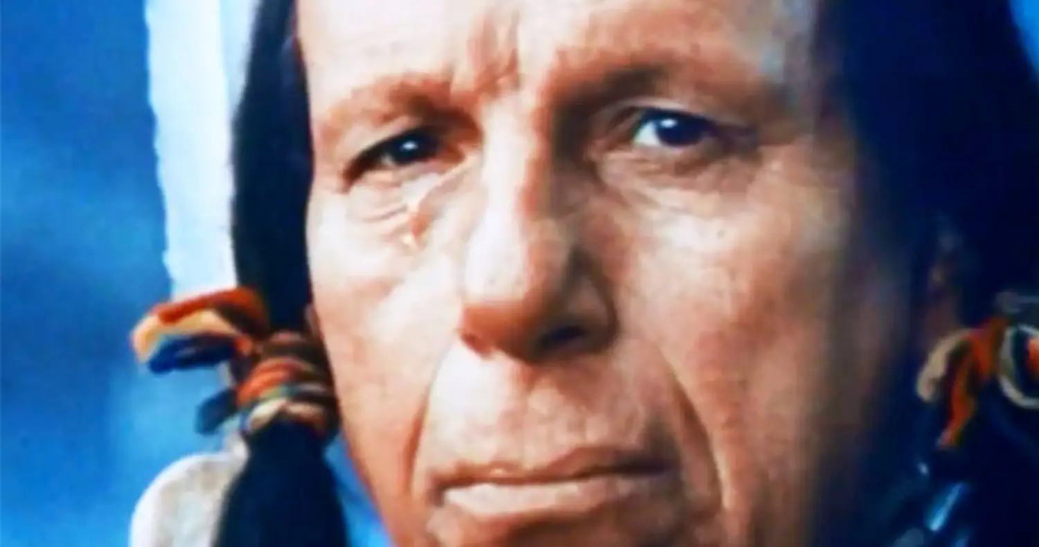Iron Eyes Cody Commercials