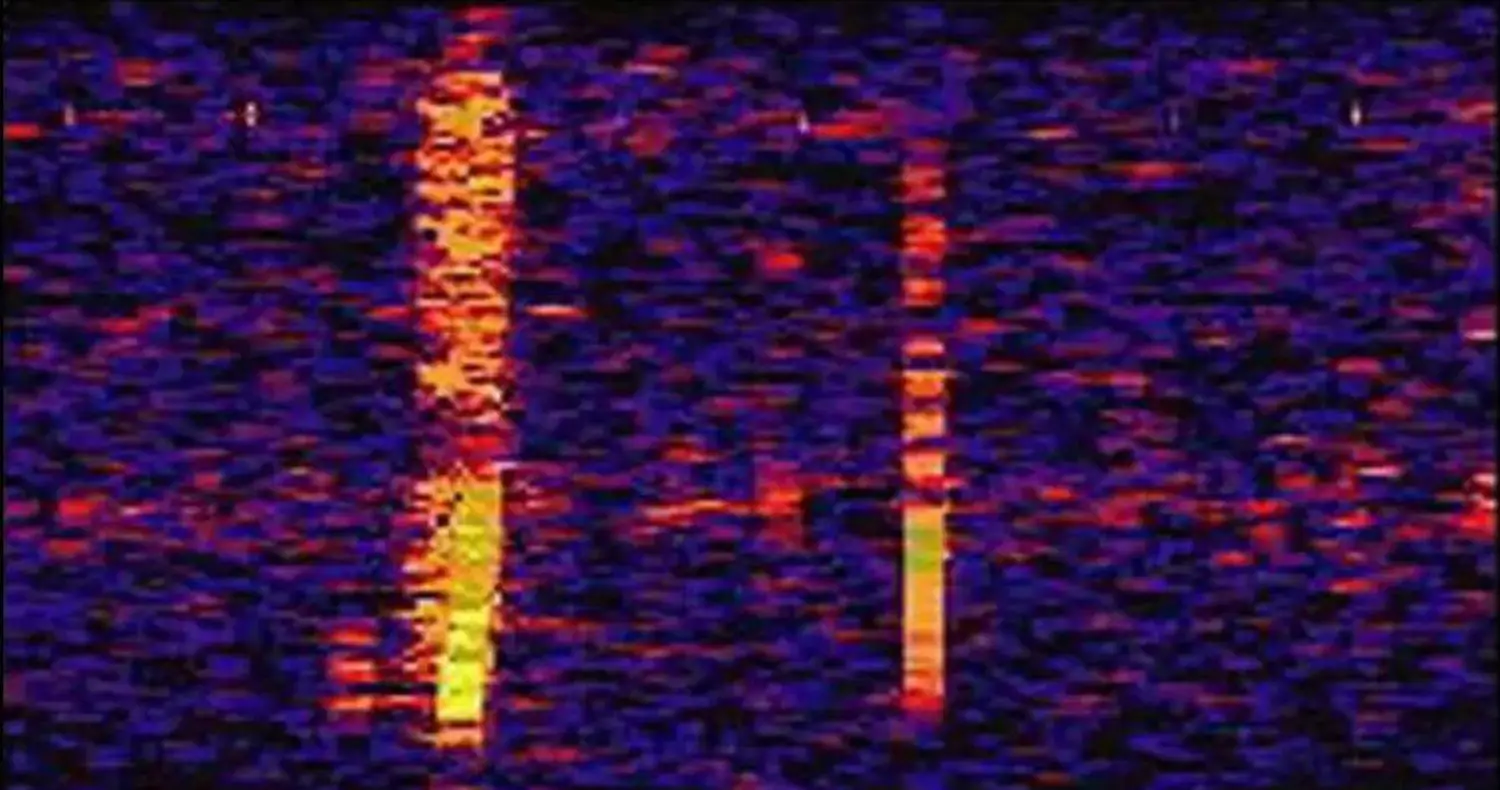 Bloop Creature On The Radar