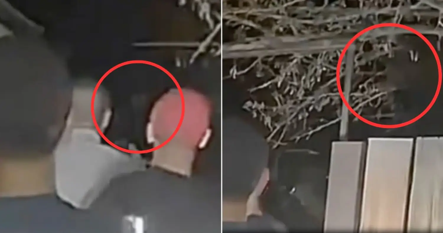 alien caught on camera in backyard