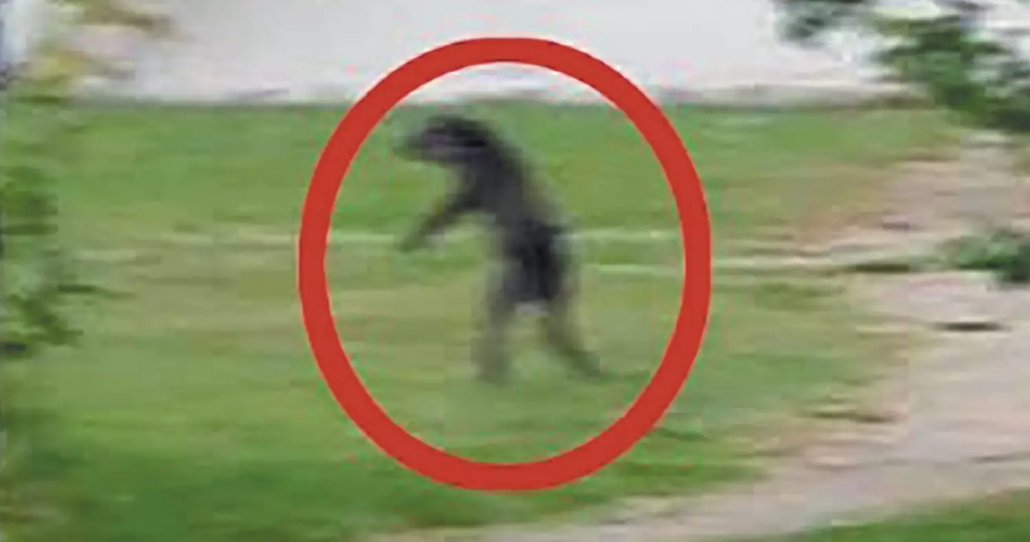 Real Paranormal Creatures