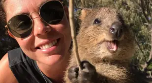 Why Quokkas Are The Cutest Animals In The World