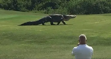 All That's Interesting, The Internet's Most Interesting Website