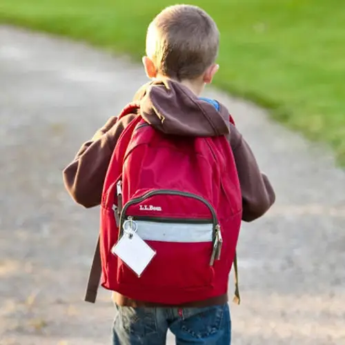 What's For Lunch At Schools Around The World?