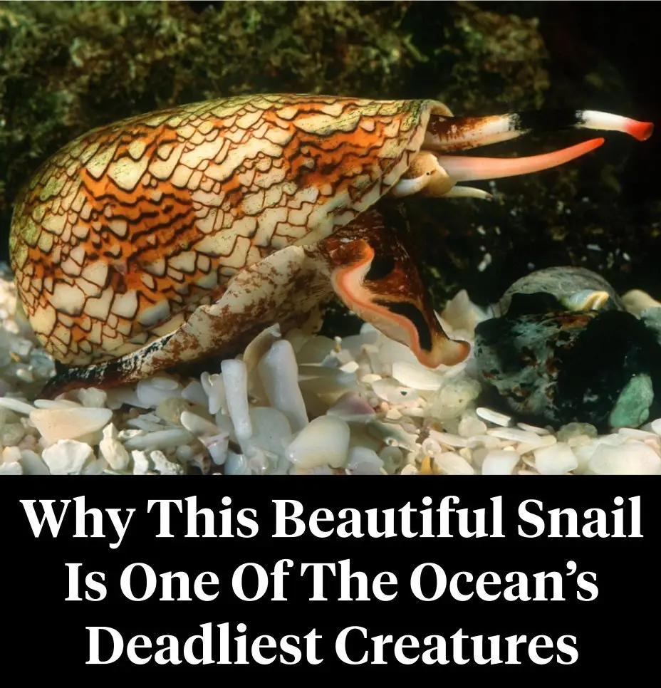 All That's Interesting, Something Interesting To Read Every Day