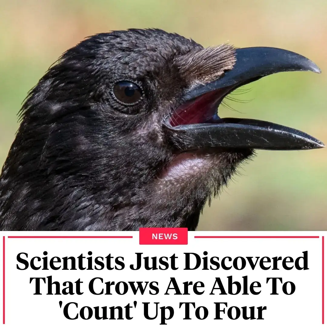 All That's Interesting, Something Interesting To Read Every Day