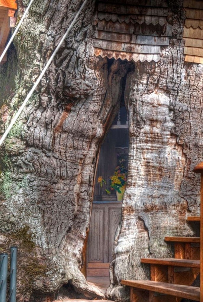 France's Incredible Oak Chapel