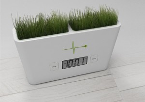 Today’s Best Green Design Trends