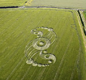 The World's Coolest And Real Crop Circles
