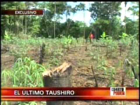 5 Of The Most Unique Languages In The World