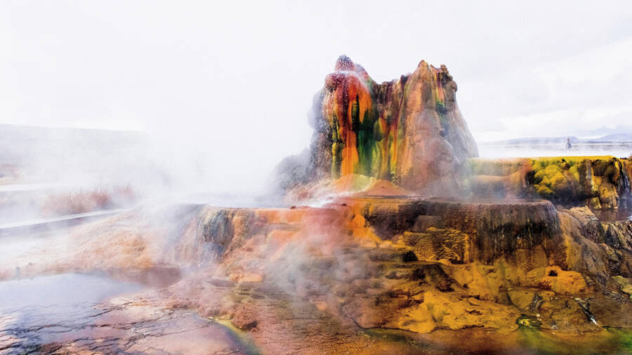 Fly Geyser, The Rainbow Wonder Of The Nevada Desert