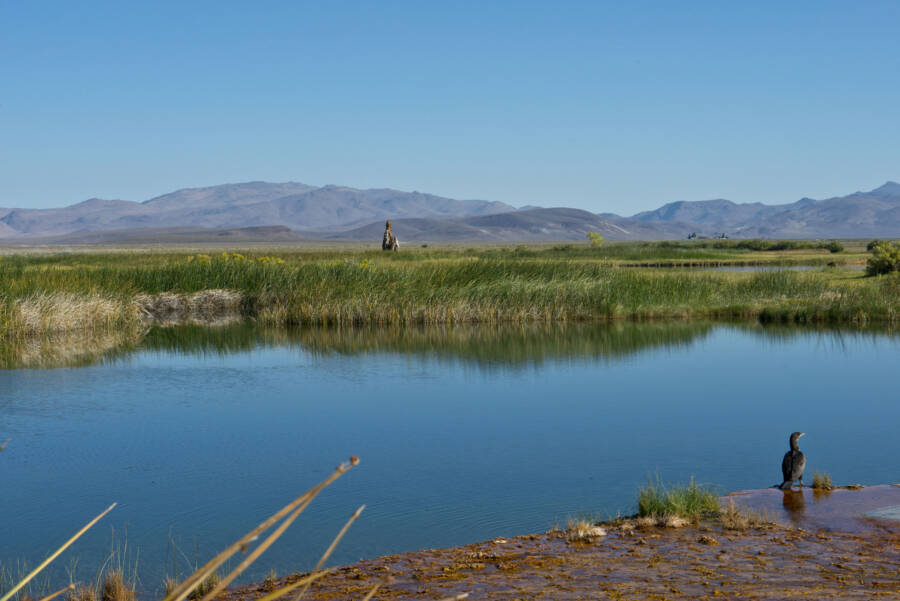 Fly Geyser, The Rainbow Wonder Of The Nevada Desert