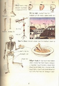 Codex Seraphinianus, The Bizarre And Beautiful Art From An Alien World