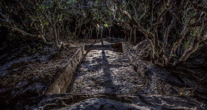 The Lost Roanoke Colony And The Haunting Story Behind It