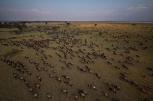 The 6 Most Amazing Natural Events On Earth