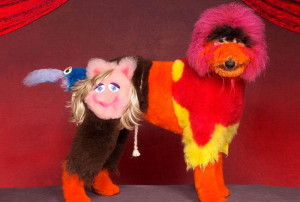 5 Weird Hobbies That People Actually Do