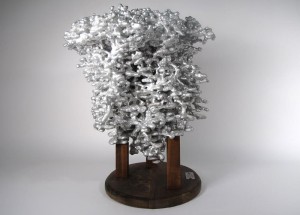 Anthill Art Creations And The Complexity of Ant Colonies