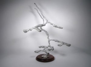 Anthill Art Creations And The Complexity of Ant Colonies