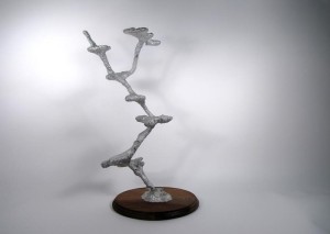 Anthill Art Creations And The Complexity of Ant Colonies