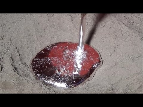 Anthill Art Creations And The Complexity of Ant Colonies