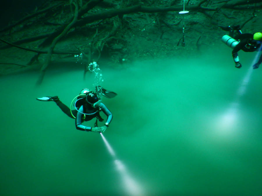 Mexico's Underwater River: A Paradise For Divers The World Over