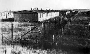 Horace Greasley: How To Escape A POW Camp Over 200 Times