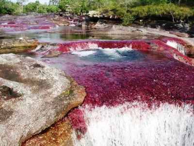 The River Of Five Colors: Proof That Mother Nature Is An Artist