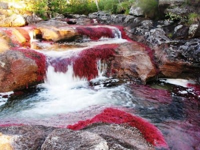 The River Of Five Colors: Proof That Mother Nature Is An Artist