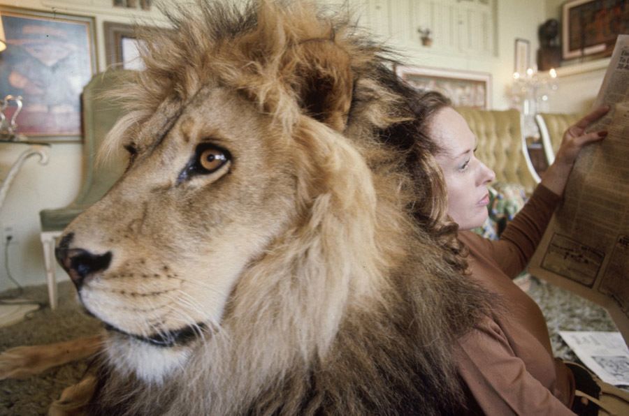 Pet Lions: Tippi Hedren's Attempt To Bring The African Safari To Her Home