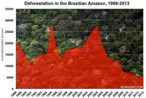 20 Alarming Photos Of The Disappearing Amazon Rainforest