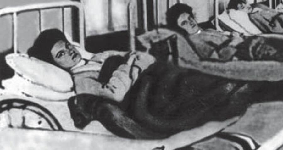 Typhoid Mary, The Irish Immigrant Blamed For Spreading Typhoid Fever