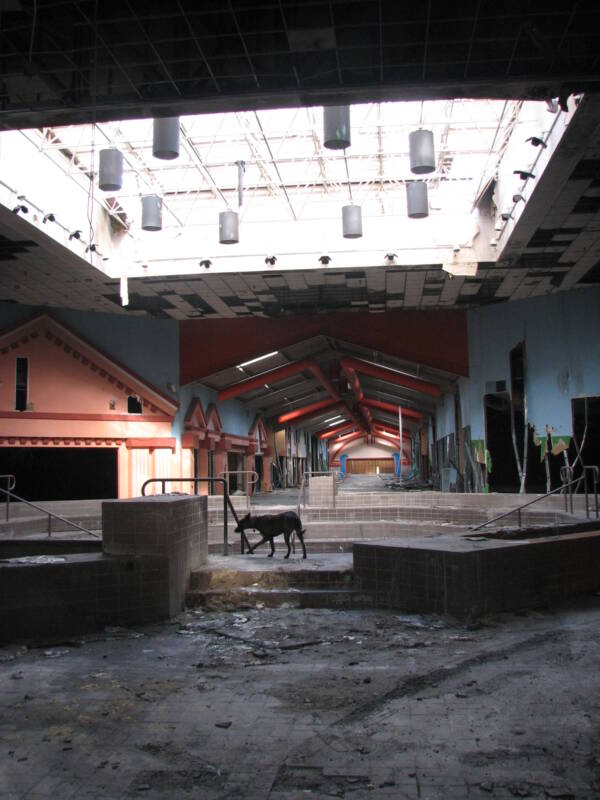 Inside America's Abandoned Malls, In 35 Haunting Photos