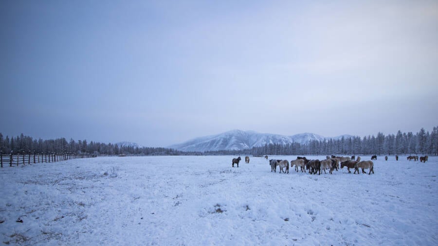 27 Photos Of Life Inside Oymyakon, The Coldest City On Earth