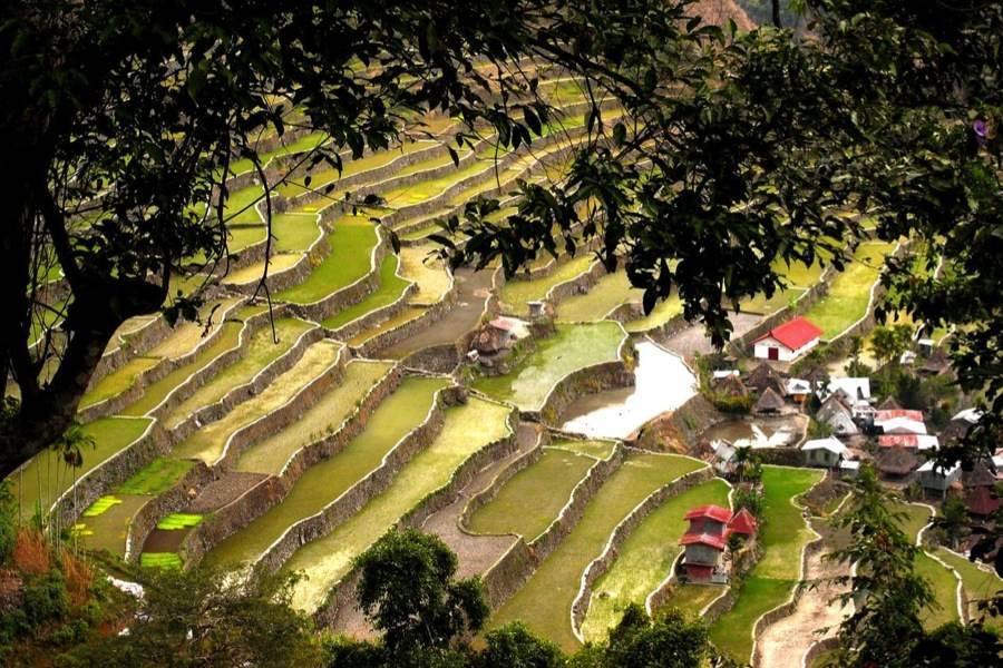 The Philippine Rice Terraces Are Absolute Paradise