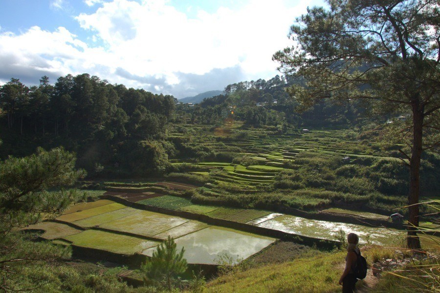 The Philippine Rice Terraces Are Absolute Paradise