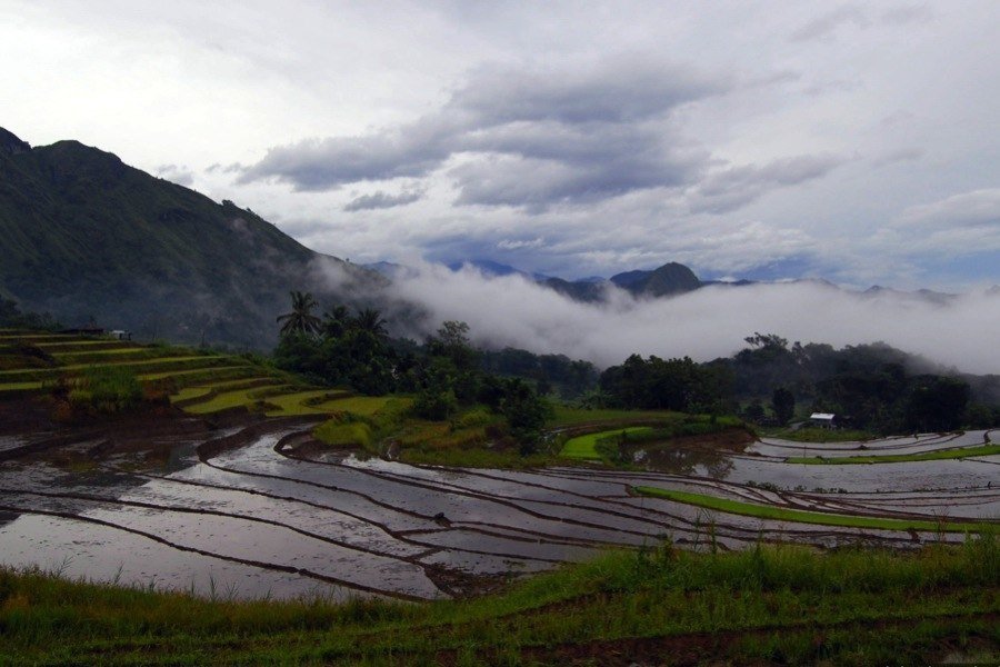 The Philippine Rice Terraces Are Absolute Paradise