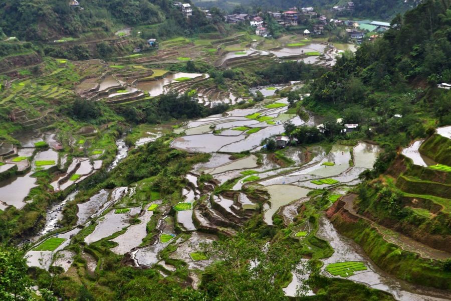 The Philippine Rice Terraces Are Absolute Paradise