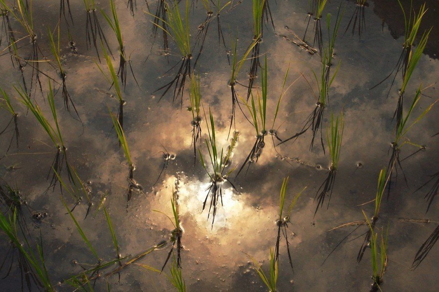 The Philippine Rice Terraces Are Absolute Paradise
