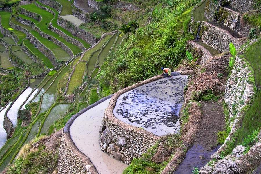 The Philippine Rice Terraces Are Absolute Paradise