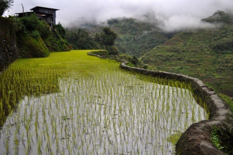 The Philippine Rice Terraces Are Absolute Paradise