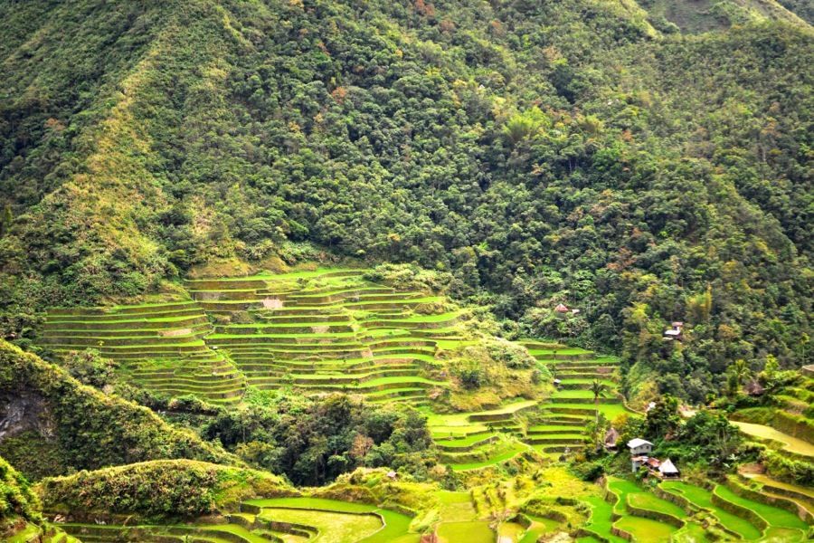 The Philippine Rice Terraces Are Absolute Paradise
