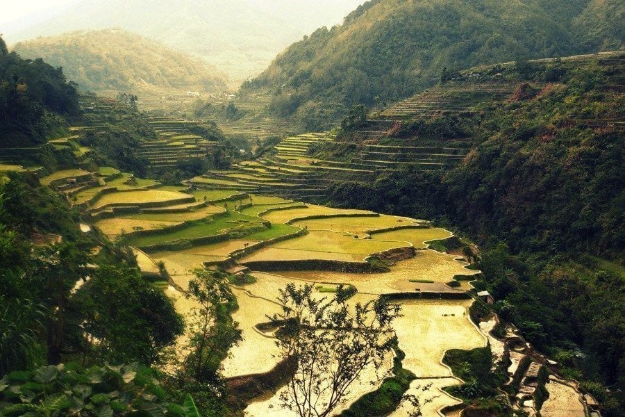 The Philippine Rice Terraces Are Absolute Paradise