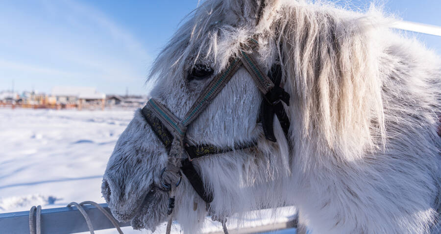 27 Photos Of Life Inside Oymyakon, The Coldest City On Earth