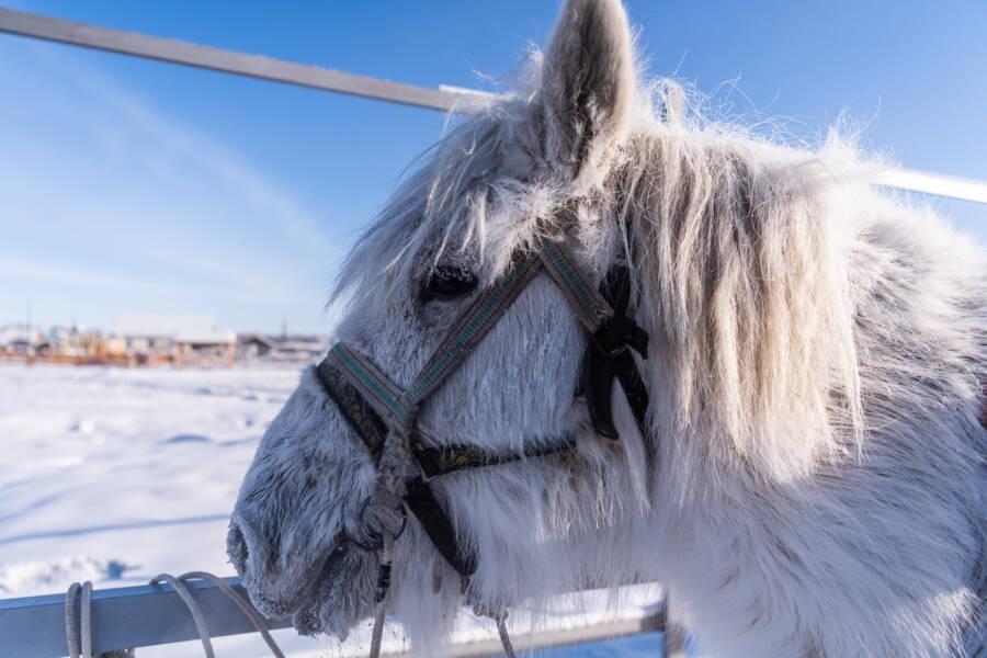 27 Photos Of Life Inside Oymyakon, The Coldest City On Earth