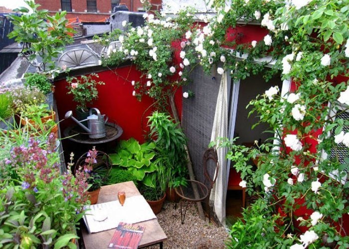 25 Rooftop Gardens That Will Make Your Jaw Drop