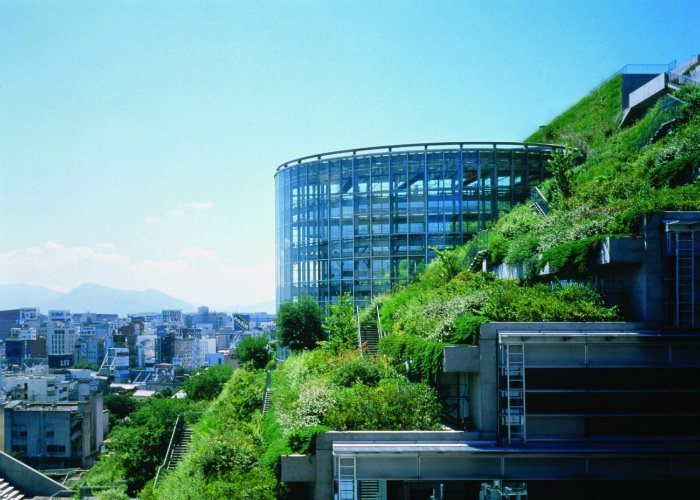 25 Rooftop Gardens That Will Make Your Jaw Drop