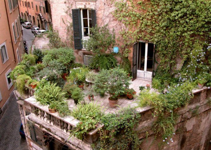 25 Rooftop Gardens That Will Make Your Jaw Drop