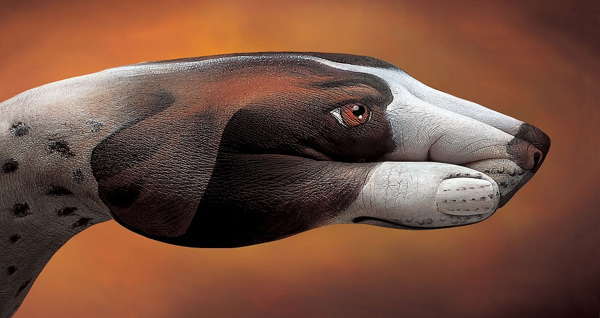 Artist Guido Daniele Transforms Your Arm Into Your Favorite Animal