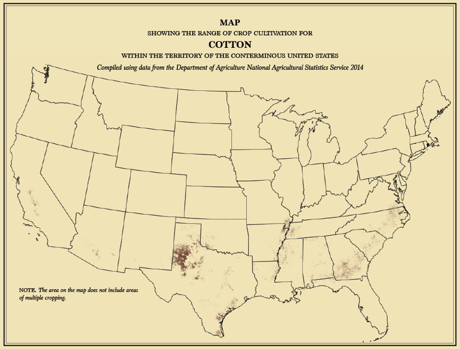 U.S. Census Maps That Reveal The True America