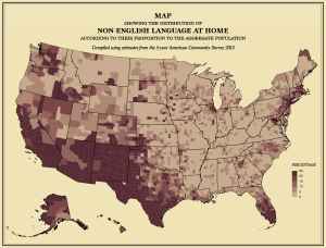 U.S. Census Maps That Reveal The True America
